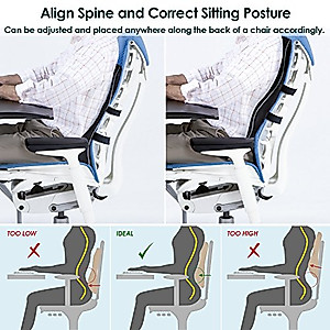 Lumbar Support Pillow/Back Cushion, Memory Foam Orthopedic Backrest for Car Seat, Office/Computer Chair and Wheelchair,Breathable & Ergonomic Design for Back Pain Relief