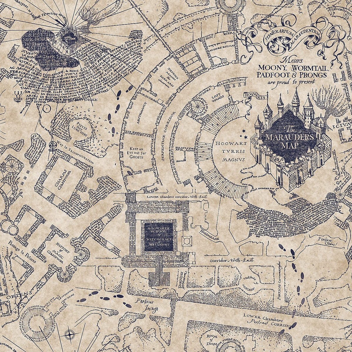 RoomMates RMK12436RL Blue Harry Potter Marauder's Map Peel and Stick Wallpaper
