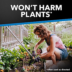 Raid S C Johnson Wax 81666 Fly/Insect Killer, 18-Ounce