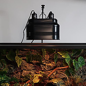 Aiicioo Dual Reptile Light Fixture - Bearded Dragon Light Fixture Double Reptile Heat Lamp Dome Max 160 Watt Terrarium UVB Reptile Light for Turtle Tank Vivarium Hermit Crab