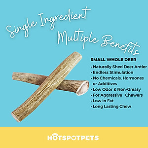 hotspot pets Small Premium Deer Antler for Dogs (3 Pack) - 4-8 Inch Long Lasting Antler Dog Chews Naturally Shed Deer Antlers Bone for Small & Medium Breed Aggressive Chewers - Sourced in USA