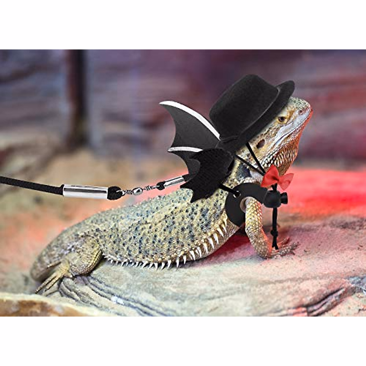 VavoPaw Bearded Dragon Lizard Leash Harness (S/M/L 3 Pack), Adjustable Leash Bat Wings Costume Accessories with Hat & Bow Tie Collar for Lizard Reptile, Gecko, Iguanas, Amphibians & Small Animals