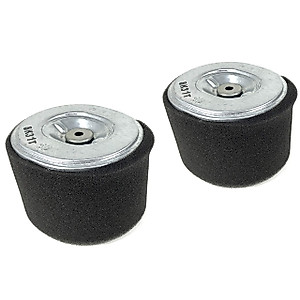 Honda 17210-ZE2-822 Pack of 2 Air Filters