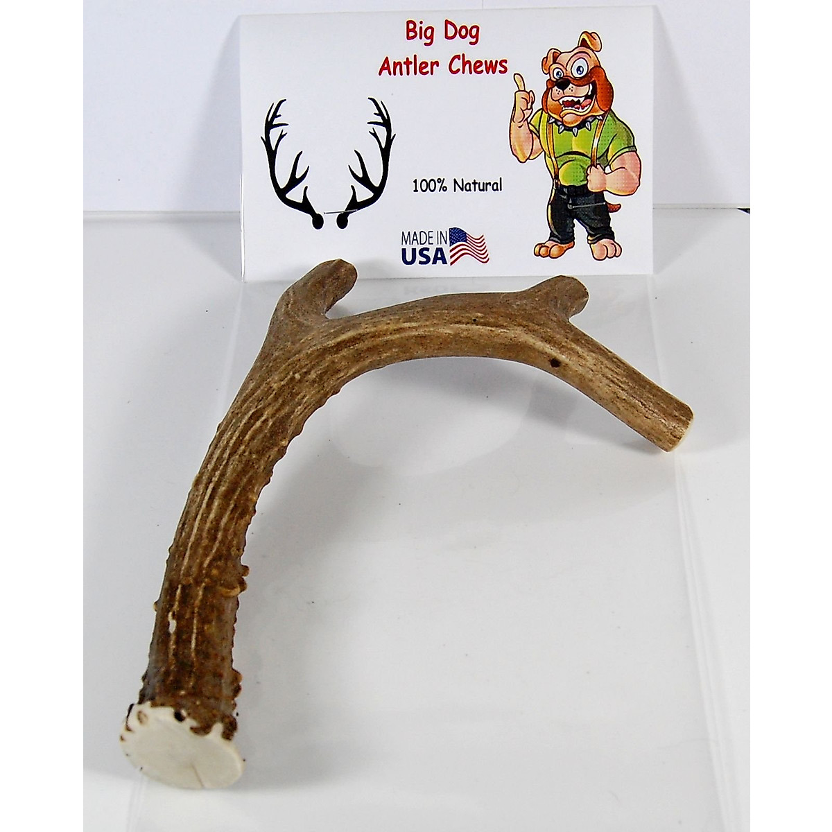 Big Dog Antler Chews - Deer Antler Dog Chew, Medium, 9 Inches to 13 Inches Long. Perfect for Your Medium to Large Size Dogs and Puppies! Grade A Premium. Happy Dog Guarantee!