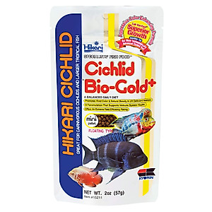 Hikari 2-Ounce Cichlid Bio-Gold and Floating Pellets for Pets, Mini