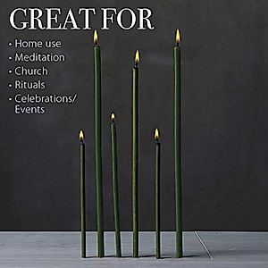 Danilovo Pure Beeswax Candles - No-Drip, Smoke-Less, Tall, Thin Taper Candles – Decorative Candles for Church Prayer, Decor or Birthday Candles – Honey Scented Candles – 6.4”x0.22” (Green, 50pcs)