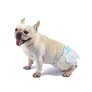 Wags & Wiggles Female Dog Diapers | Doggie Diapers for Female Dogs | Small Dog Diapers, 15"-19" Waist - 12 Pack | Disposable Dog Diapers for Female Dogs
