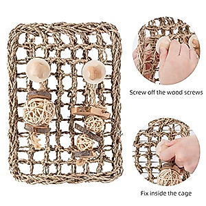 andwe Seagrass Protector Mat with Toys for Rabbit Bunny Chinchilla Guinea Pigs or Other Rodent Pets (11 X 7.87-inch)