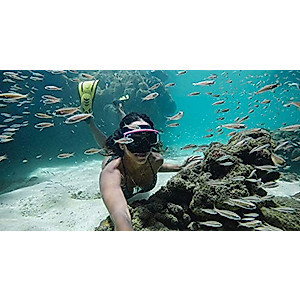 GoPro Protective Housing (HERO7 Silver / HERO7 White) (GoPro Official Accessory), Clear (ABDIV-001)