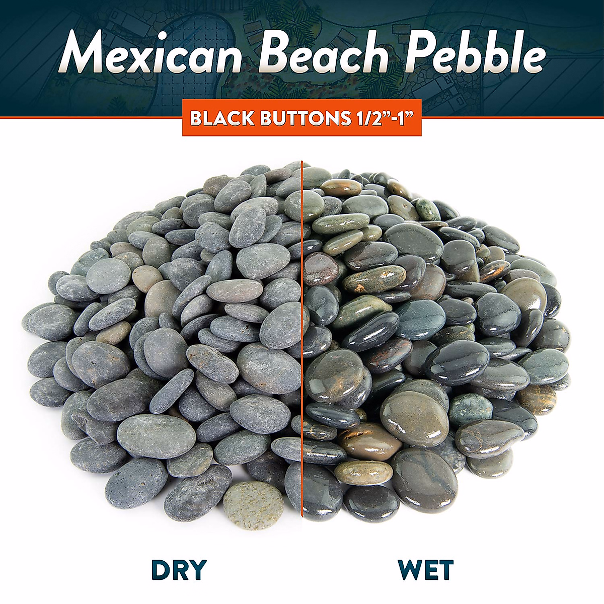 Mexican Beach Pebbles | 20 Pounds of Smooth Unpolished Stones | Hand-Picked, Premium Pebbles for Garden and Landscape Design | Black Buttons, 1/2 Inch - 1 Inch