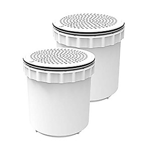InvisiClean Water Pitcher Replacement Filter (2)