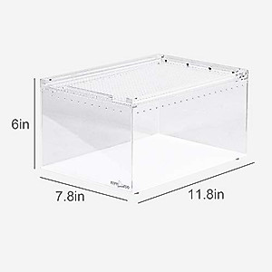 REPTI ZOO Magnetic Acrylic Breeding Enclosure, 12x8x6 Inch Flat Long Reptile Breeding Box Terrarium Cage for Tarantula Scorpion Sling Isopods Lizards Roach Invertebrates Insect Mantis