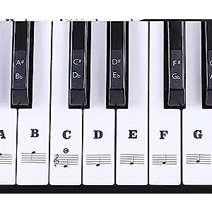Piano Keyboard Stickers for Beginners 88/61/54/49/37 Key. Large Bold Letter Piano Stickers Perfect for kids Learning Piano, Transparent and Removable