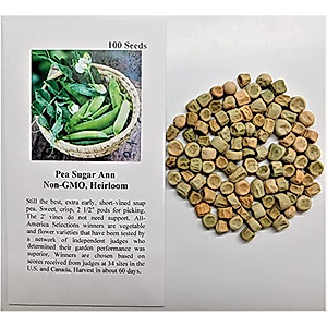 David's Garden Seeds Pea Snap Sugar Ann FBA-5594 (Green) 100 Non-GMO, Heirloom Seeds