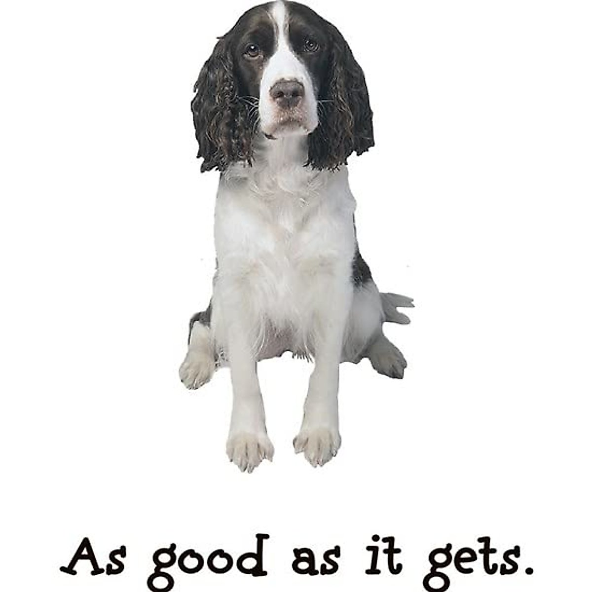 CafePress Good Springer Spaniel Mug Ceramic Coffee Mug, Tea Cup 11 oz