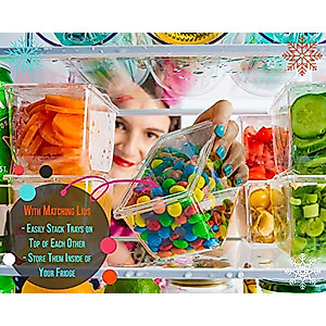 gesPINK Condiment Trays, Condiment Servers, Set of 2 Garnish Trays with Lid for Bar, Bar Fruit Caddies with Lid, Bar Condiment Trays with Lid, Condiment Servers for Parties, Chilled Serving, Utensils