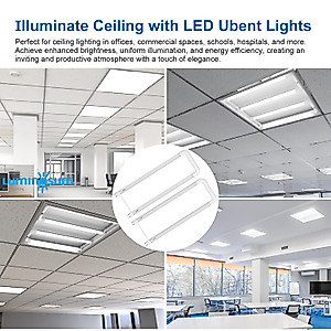 LUMINOSUM, T8 T12 U Bend LED Tube Light 2x2 Foot, 20W (40 watts equivalent), Cool White 6000k, Clear Cover, Ballast Bypass, ETL Listed, 10-pack