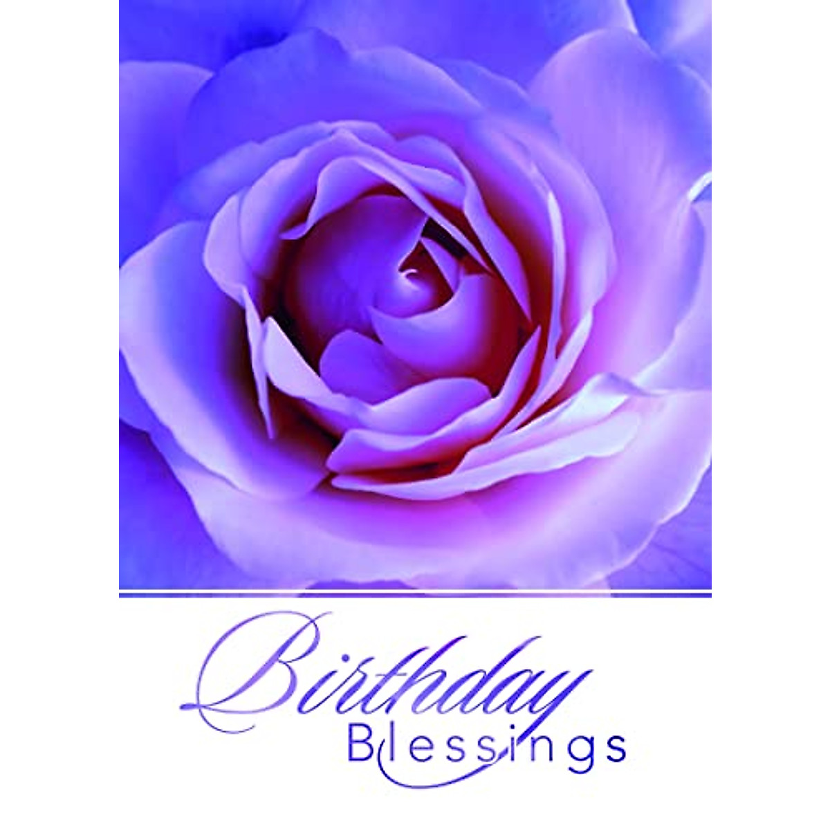 Secret Sister - All Occasion - It's A Secret - KJV and NIV Scripture Greeting Cards - (Box of 12)