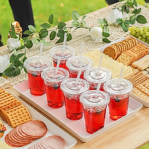 VITEVER 100 Sets - 12oz Clear Plastic Cups with Lids and Straws, Disposable Cups for Iced Coffee, Smoothie, Milkshake, Cold Drinks