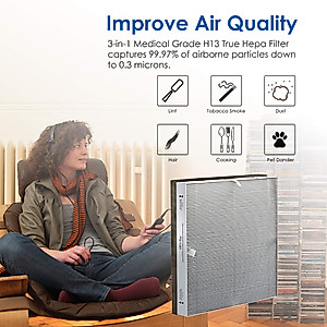 Flintar MD1-0022 True HEPA Replacement Filter, Compatible with Vornado Air Cleaner Purifier Model AC300, AC350, AC500, AC550, PCO200, PCO300, PCO375DC, PCO500 and PCO575DC (2)