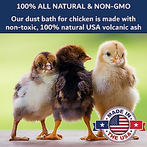 Chickie Whiz Dust Bath 5.5lb, Chicken Dust Bath, Dust Bath for Chickens for Healthy Chicken, Poultry Dust, Chicken Bath, Dust for Chickens, Chicken Coop Accessories, by Billy Buckskin Co.