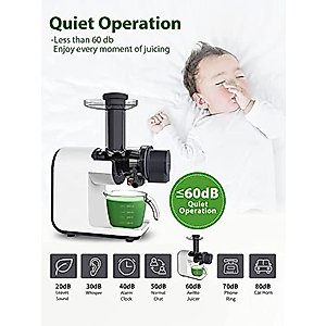 Aeitto Cold Press Juicer, BPA Free Slow Juicer, Easy to Clean, Juicer Machines with Quiet Motor & Reverse Function, Masticating Juicer for Vegetable and Fruit