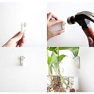 DZHJKIO Pack of 6 Glass Planters Wall Hanging Planters Round Glass Plant Pots Hanging Air Plant Pots Flower Vase Air Plant Terrariums Wall Hanging Plant Container, 12 cm Diameter