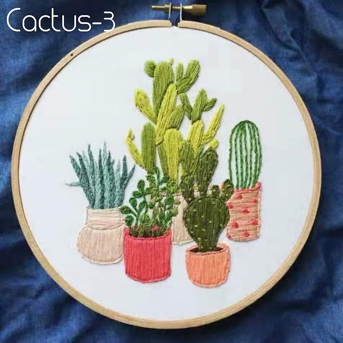 Highkick Embroidery Starter Kits for Adults Beginners with Stamped Pattern, Embroidery Floss + Needles + Hoop, Cactus Series, 3 Pack