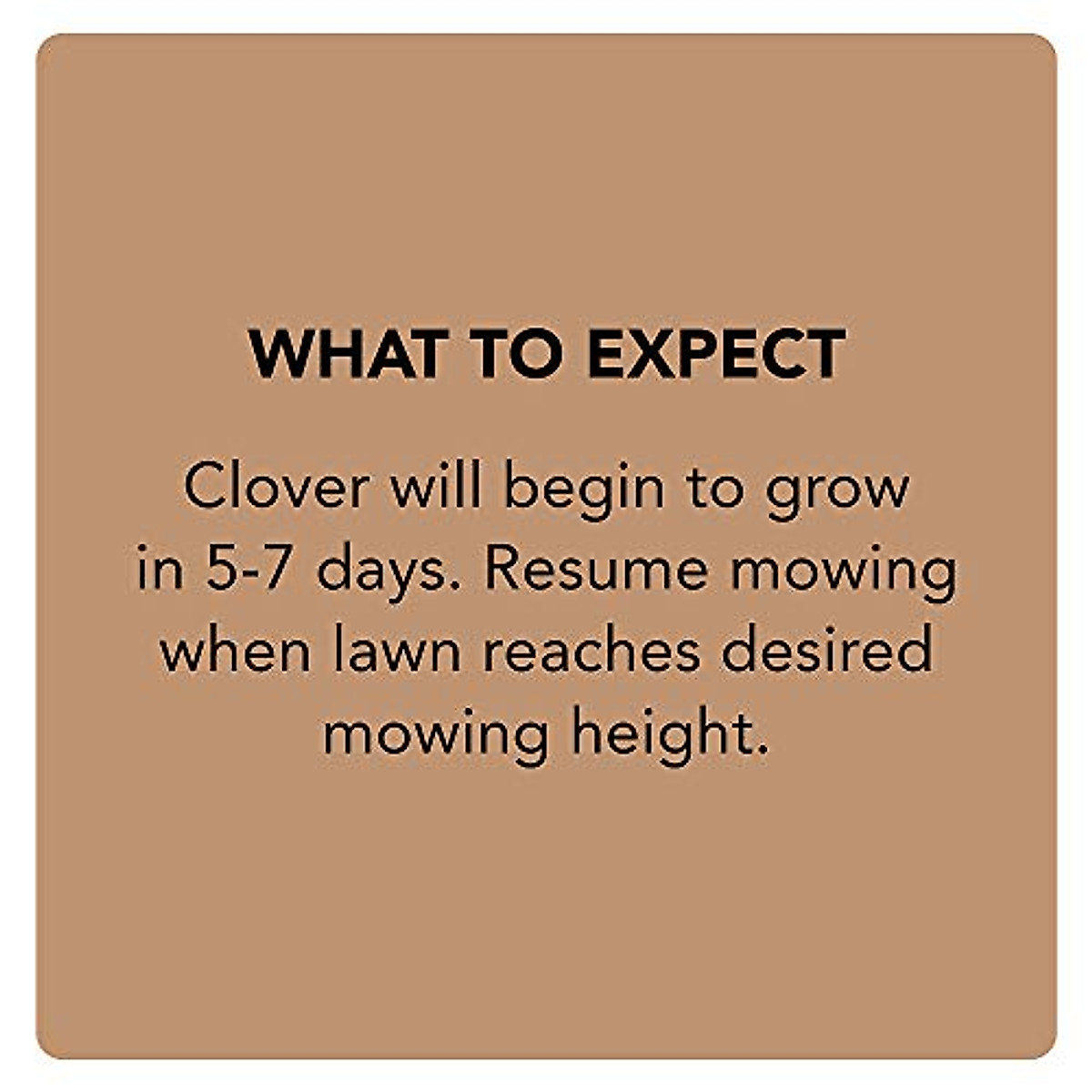 Scotts Turf Builder Clover Lawn, Greener Lawn with Less Maintenance, 2 lbs.