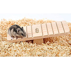 Litewoo Hamster Drinking Water Bottle, Hamster Tunnel Toy