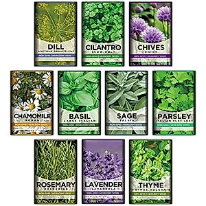 10 Herb Kit Non-GMO Growing into Thyme, Lavender, Chamomile, Dill, Chives, Cilantro, Rosemary, Basil, Parsley, Sage Indoor/Outdoor Herb Planting for Kitchen Windowsill Gardening Gift