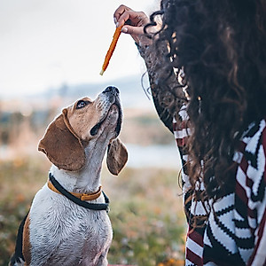 AIPET Dog Treats, Chicken Wrapped Rawhide Sticks for Dogs Treats Puppy Training Chews Snacks Sticks, 11Oz