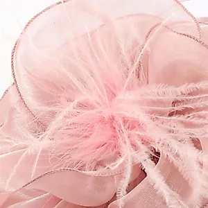 DRESHOW Fascinators Hat Tea Party Headwear Ribbons Feathers on a Headband and a Clip for Girls and Women