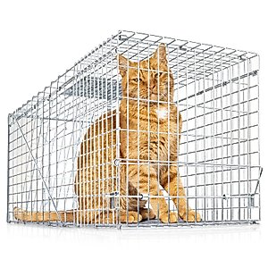 eXuby Large Cat Trap for Stray/Feral Cats & Other Animals - 32"x12"x13” - Catch Them Live & Relocate - Extra Large 8.5" Trigger Platform - Also for; Racoon, Rabbit, Possum, Skunk, Bobcat, Squirrel