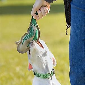 Honest Pet Eco-Quacker Duck Dog Toy - Durable, Floating, Squeaky Fetch Toy - 100% Natural Hemp Canvas & Wool, Lead-Free Ink - Large 23" x 6" x 2.5" Eco-Friendly Dog Toy