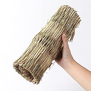 MIUPOO Pet Grass Woven Bed Mat,Small Animal Grass Mat Bedding,Pet Chew Grass Mat Toys Bed for Guinea Pig,Parrot,Rabbit,Hamster,Cat Dog and Small Animal,2 Pieces.