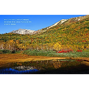 Canon DSLR camera EOS 8000D body 24.2 million pixels EOS8000D [International Version, No Warranty]