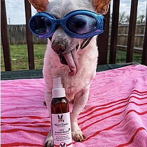 Warren London Dog Sunscreen Spray Protection with Aloe Vera I Dog Skin Soother I Puppy Sunblock I Made in USA- 4oz