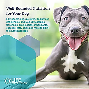 Life Extension Dog Mix - Daily Nutrition Care Supplement Powder for Your Canine Pet - Advanced Formula with Vitamins, Probiotics & Essential Fatty Acids - Gluten-Free, Non-GMO – 100 g, 60 Servings
