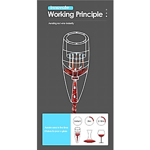 D&Slifei Wine Aerator Pourer and Decanter with Unique Aeration Device Enhances Flavors Wine with Smoother Finish, Best Gift for Wine Lovers and Sommeliers - Black