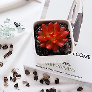 Runyangshi Natural Stones Irregular Shaped Small Tumbled Chip Gravel Crushed Gemstone Home Garden Fish Tank Decoration (Smoky Quartz, 9-12)