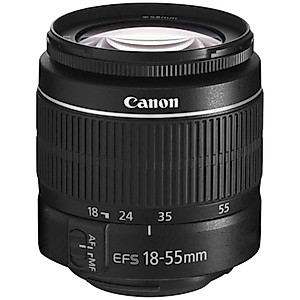 Canon EOS 2000D / Rebel T7 DSLR Camera with 18-55mm + 75-300mm Lens + SanDisk 32GB Card + Tripod + Case + MegaAccessory Bundle (22pc Bundle) (Renewed)