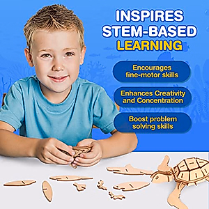 CoolToys Extraordinary Ocean Paint n' Play 3D Model and Craft Kit - Educational and Fun 3D Wooden Models Building and Painting Set for Kids Ages 6+ - Creative STEM Art Project for Boys and Girls