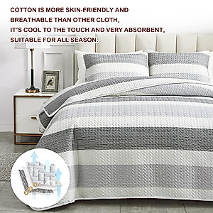 Joyreap 3-Piece Cotton Quilt Set King, Light Gray Penicl Line Stripes Printed on White, Smooth Soft Quilt Bedspread Bed Cover for All Season- 102x90 inches