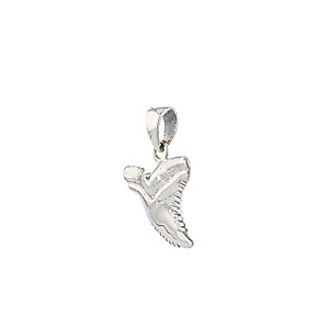 Jewelry Trends Sterling Silver Shark Tooth Pendant
