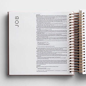 Illustrating Bible NIV - Spiral Bound Bible Journal, Pink