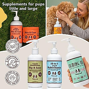 Natural Dog Company Liquid Glucosamine Hip & Joint Oil for Dogs (16 oz) Extra Strength Cartilage and Joint Support , Helps Mobility and Eases Occasional Stiffness, Dog Supplement for All Breeds and Ages, Senior Dog Supplements, Dog Vitamins and Supplement