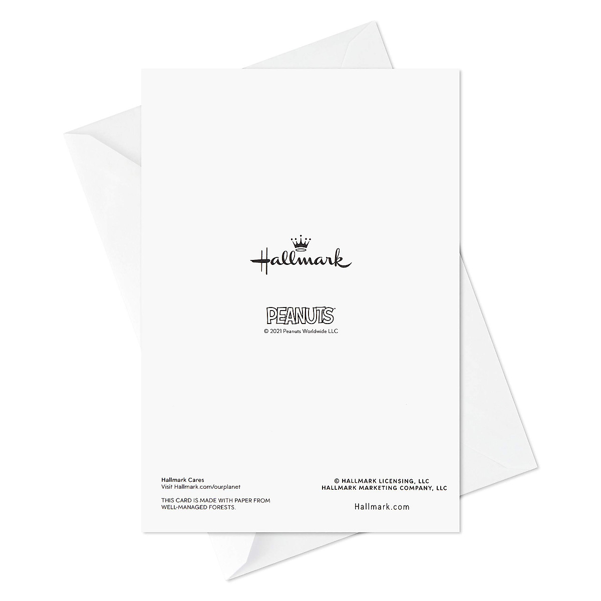 Hallmark Peanuts Birthday Cards Assortment, Snoopy Designs (12 Cards with Envelopes)