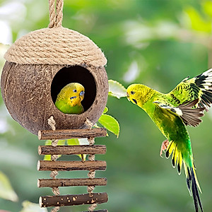 Dlhbafuya Coconut Birdhouse Coconut Shell Climbing nest Hamster hut with Ladder pet Bird Climbing Ladder nest Coconut Shell Bird nest Small Animal Habitat nest.