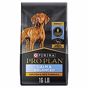 Purina Pro Plan Calm & Balanced Dry Dog Food, Adult Dog Calming DHA Chicken & Rice Formula - 16 lb. Bag
